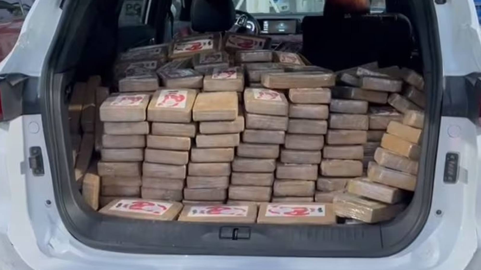 Operativo Apolo 33 deja detenidos, droga y armas incautadas en ...