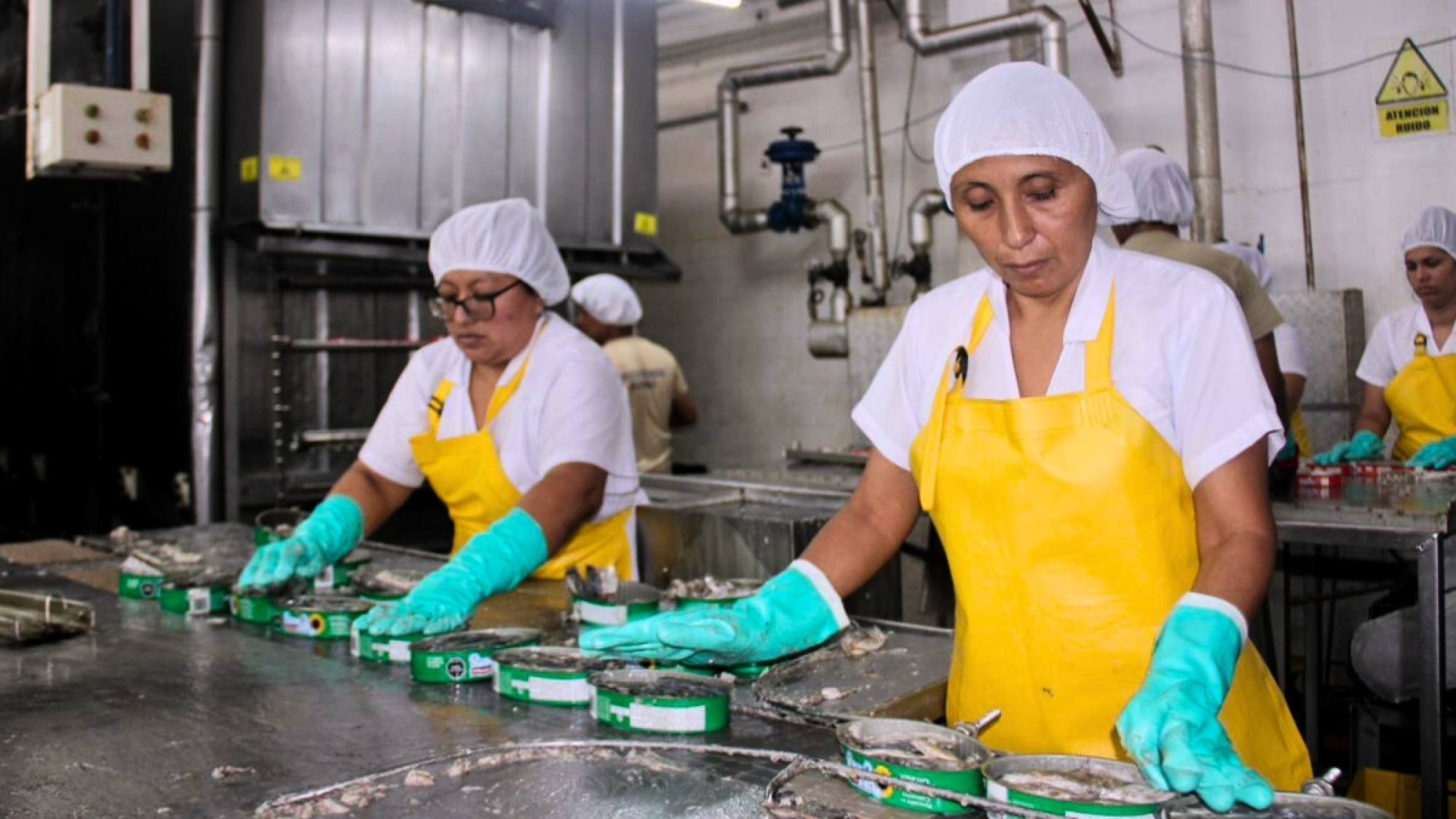 ¿Cuánto debe ganar una persona en Ecuador para cubrir sus necesidades ...