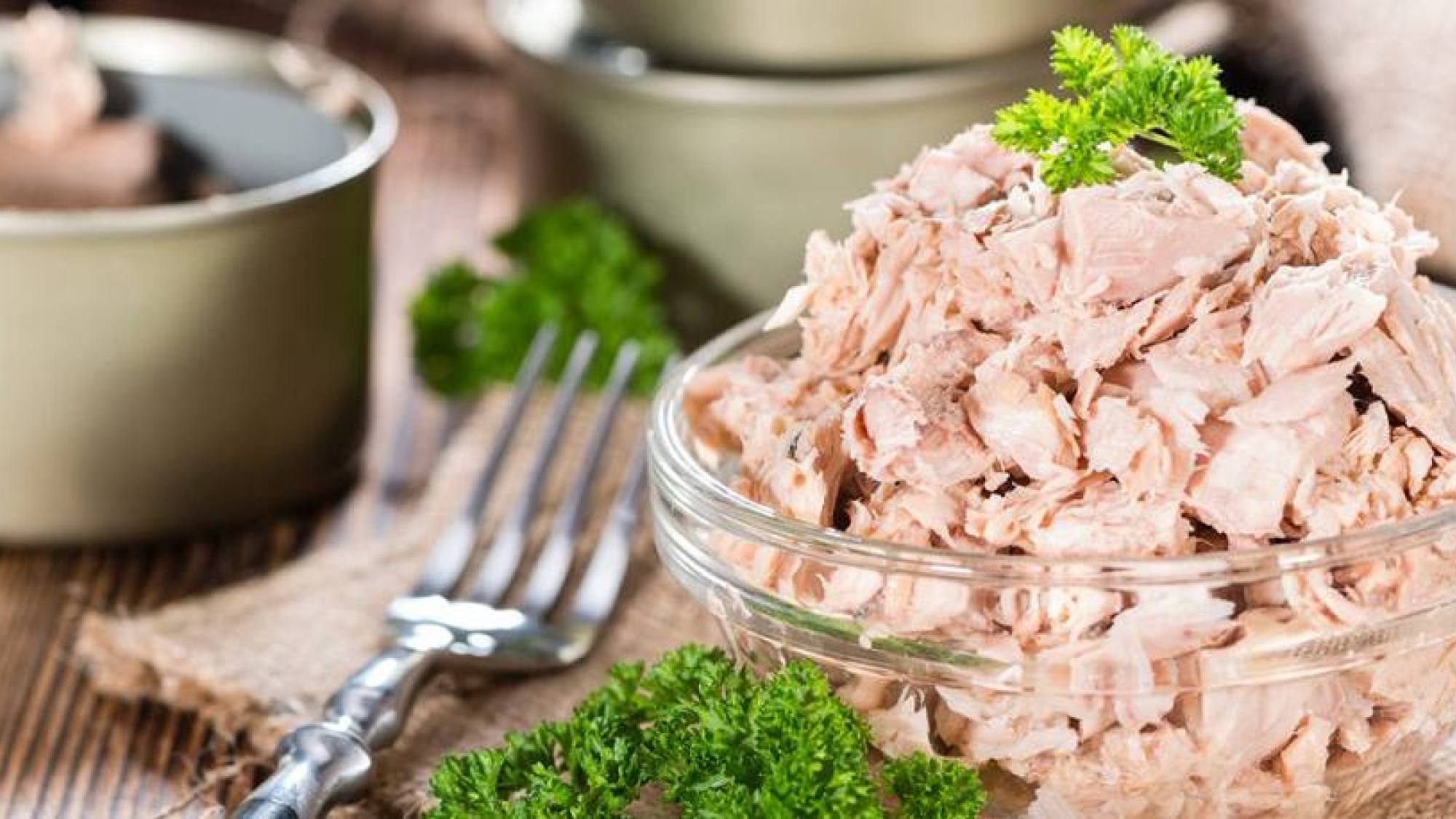 Recetas económicas y fáciles con atún en lata para disfrutar
