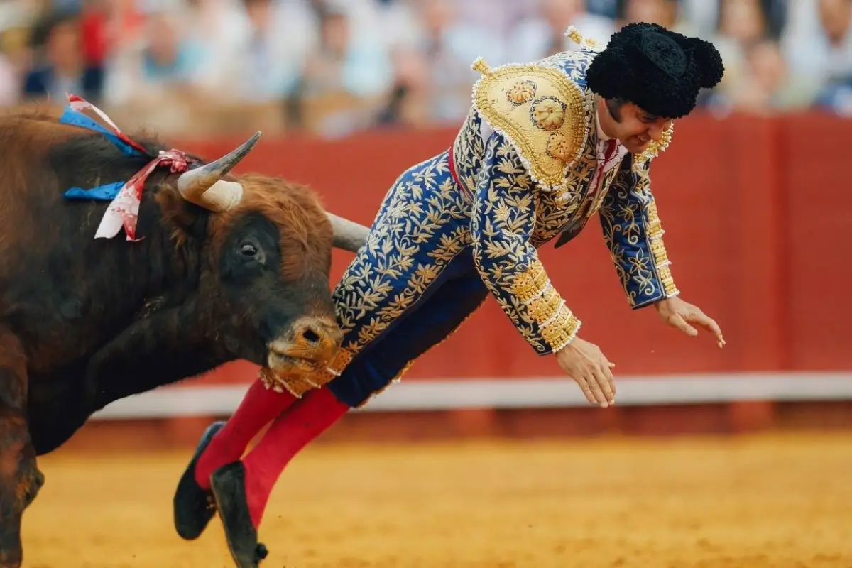 Torero Morante de la Puebla, en estado grave tras cornada
