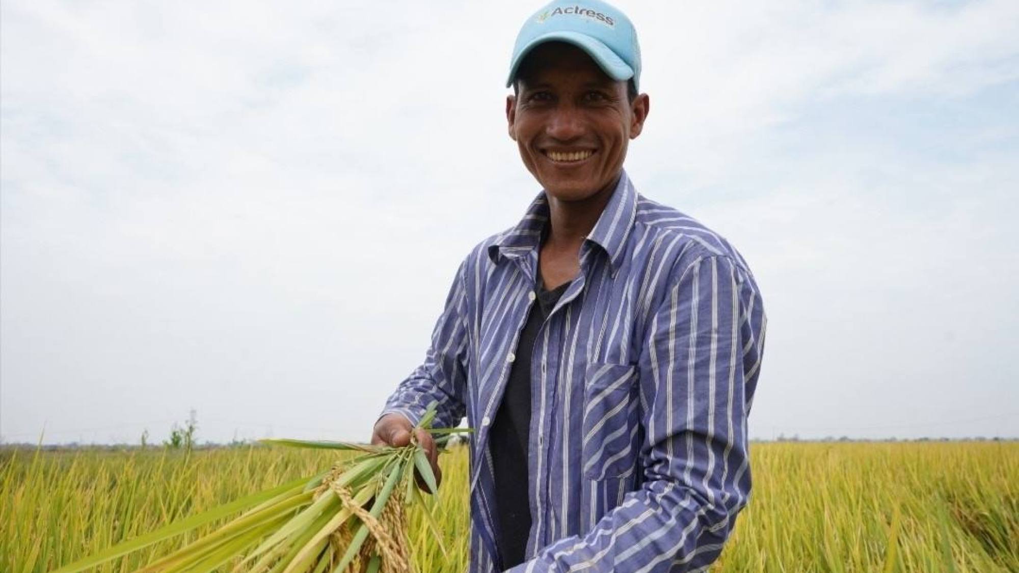 Gobierno de Daniel Noboa amplía compra de arroz